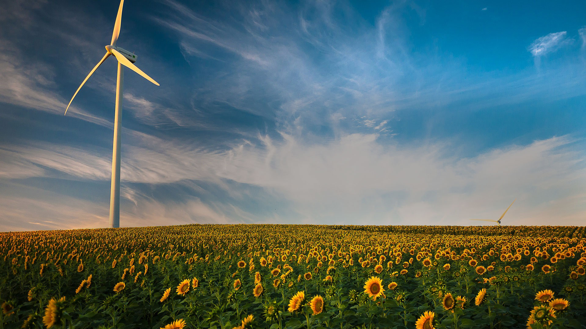 Electricity & Natural Gas Provider | Archer Energy